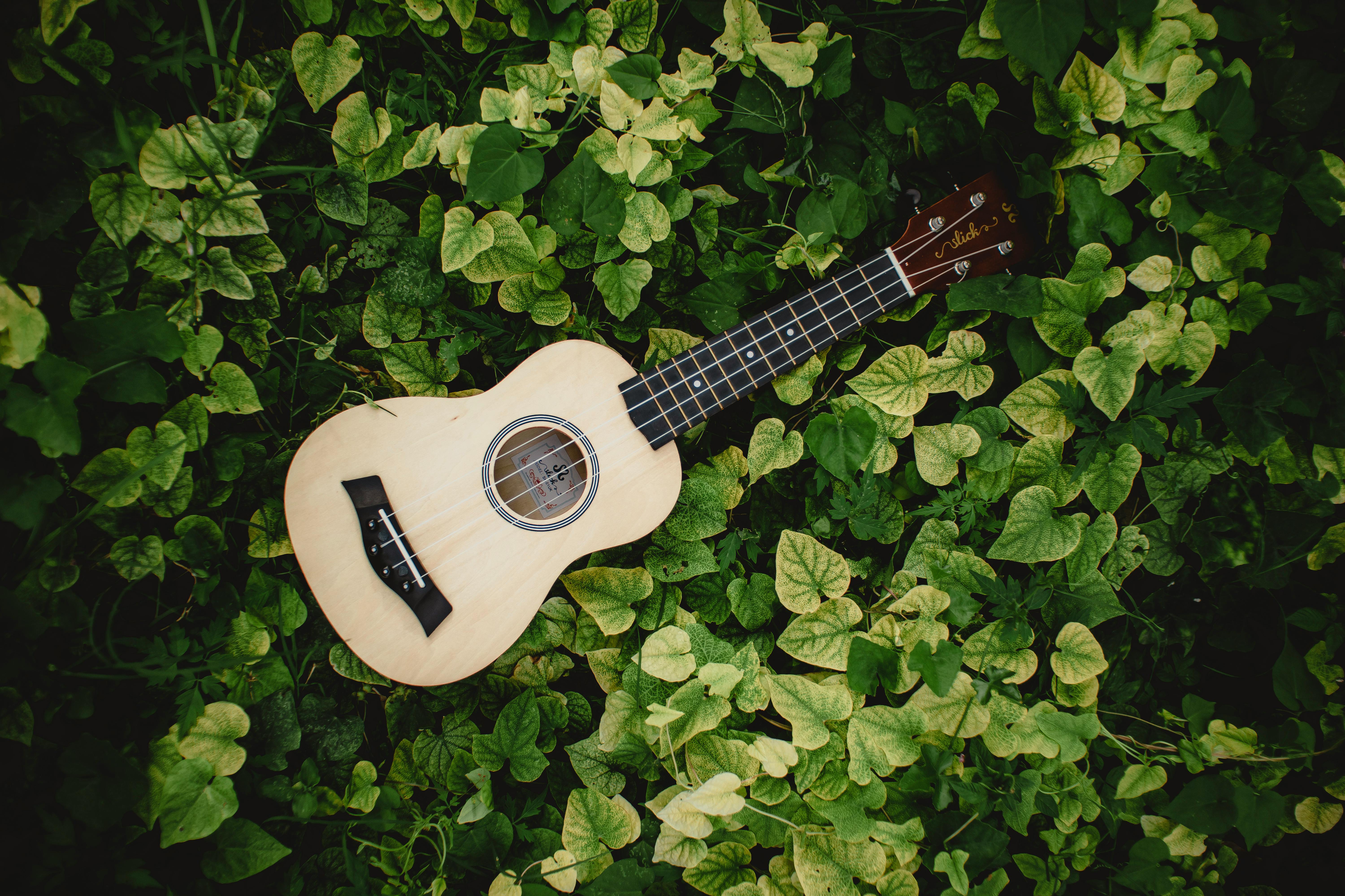 Ukelele workshop to learn a simple Māori song - Matariki