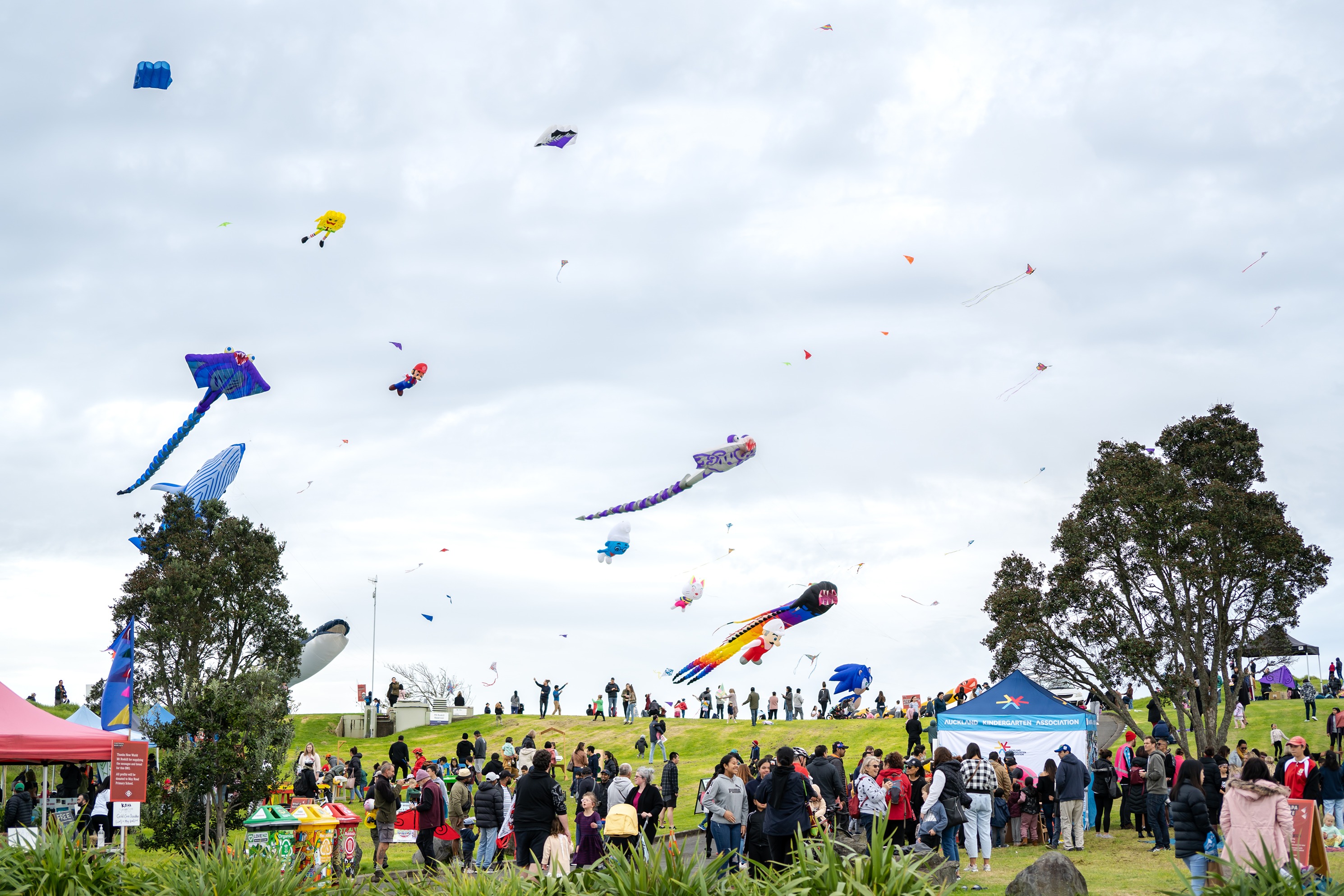 Puketāpapa Manu Aute Kite Day - Matariki